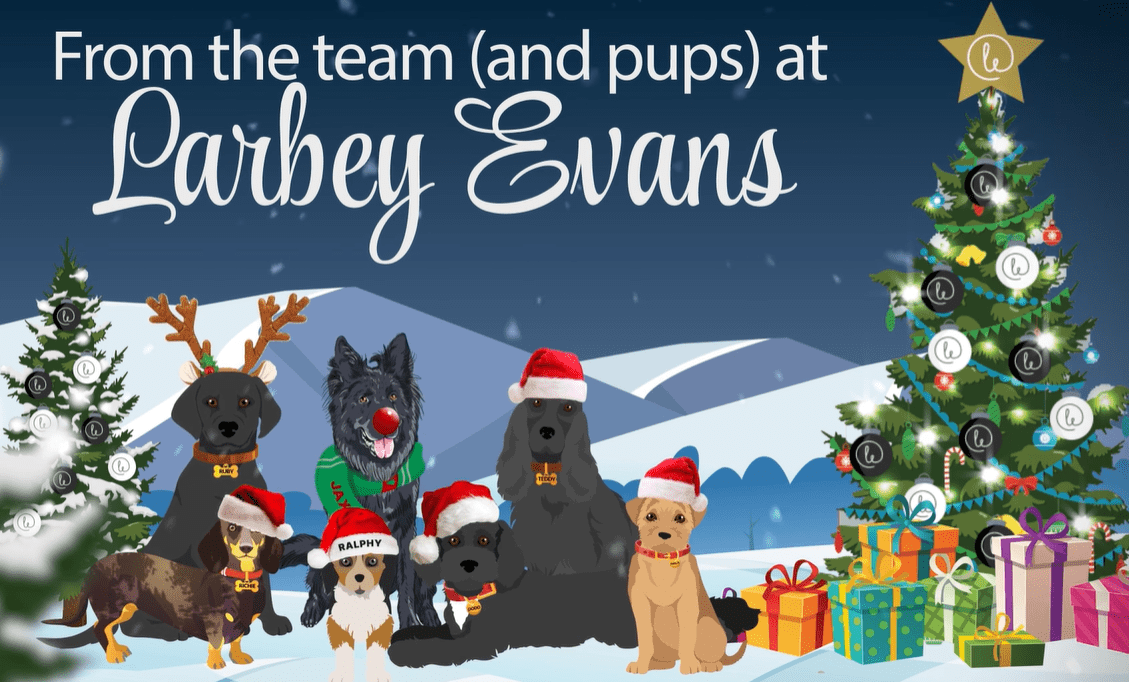 Festive Greetings 2024 | Larbey Evans